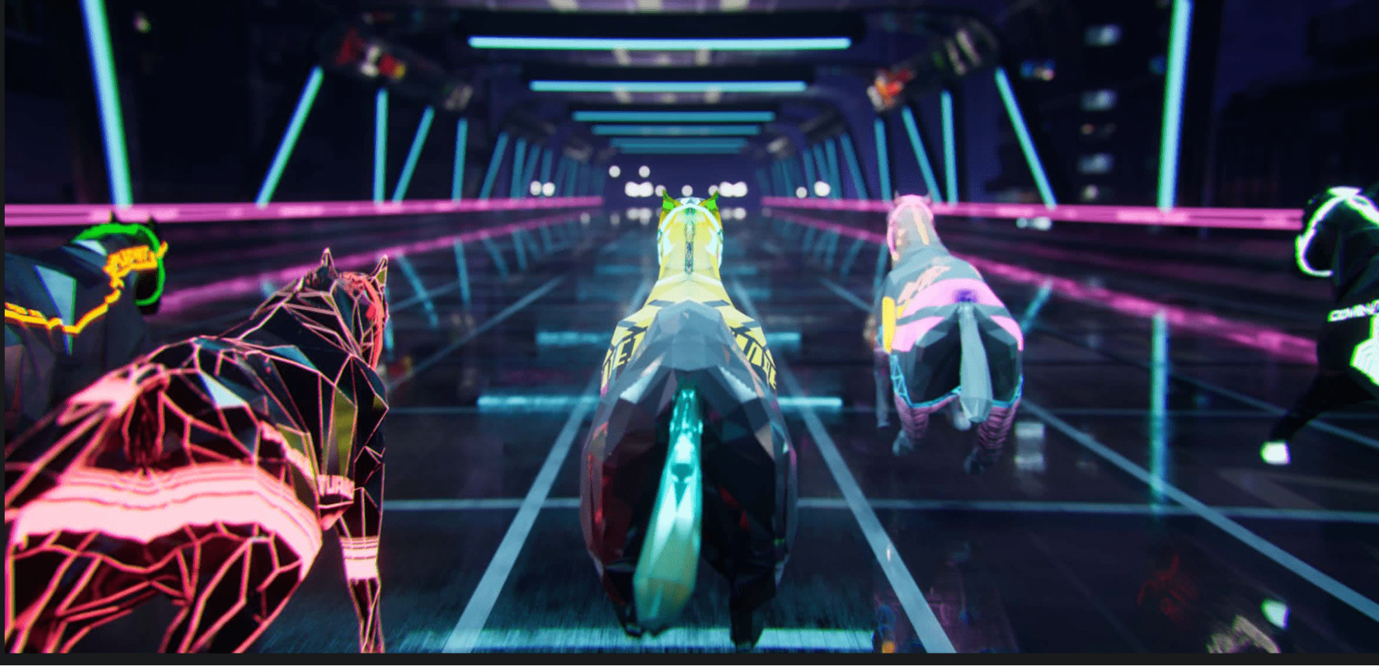 ZED RUN（ゼッドラン）とは？始め方や稼ぎ方、攻略法を解説 | meta land